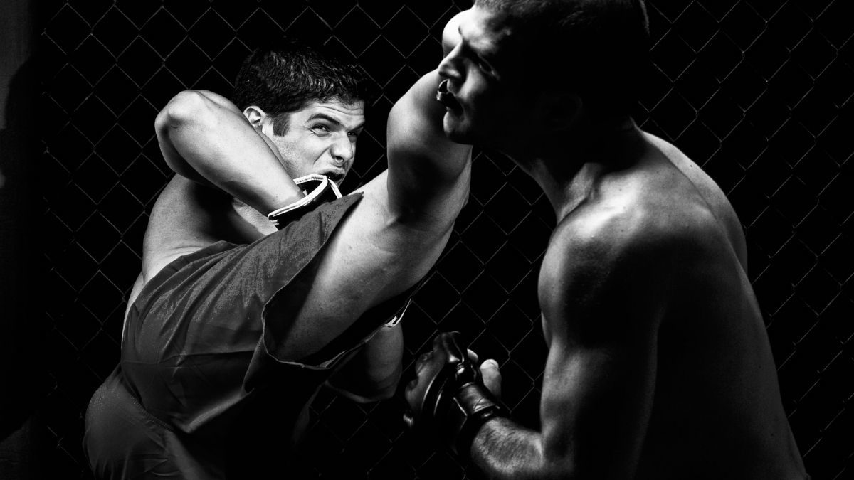 Is Kenpo Effective In MMA Mixed Martial Arts Style Is Kenpo Effective In MMA Mixed Martial Arts Style