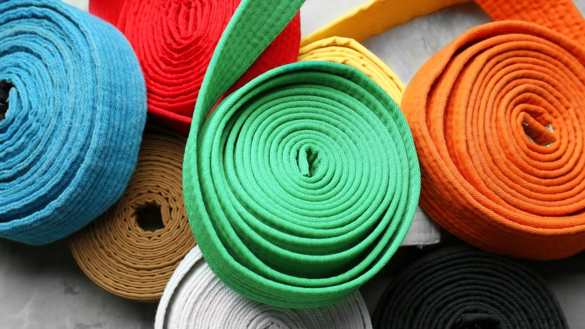 Karate Belt Order Explained - MMA Hive