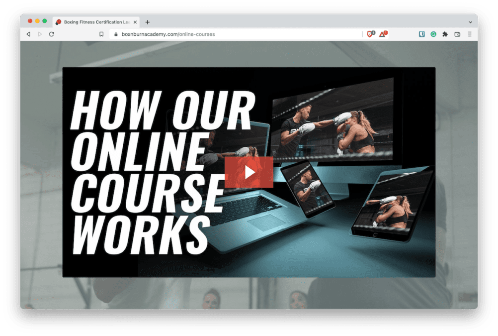 Learn Boxing Online: 11 Courses To Take - MMA Hive