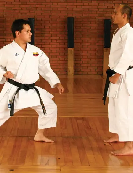 9 Fighting Stances For Martial Arts - MMA Hive