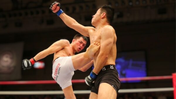 9 Fighting Stances For Martial Arts - MMA Hive