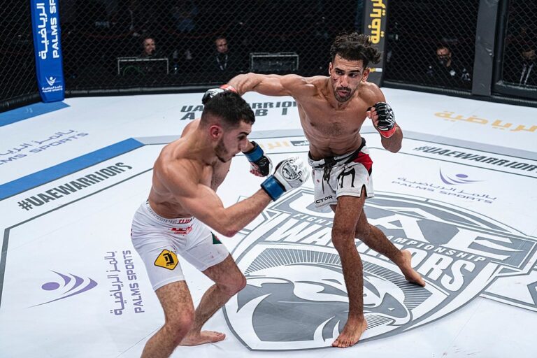 9 Essential Fighting Stances For Martial Arts Mastery