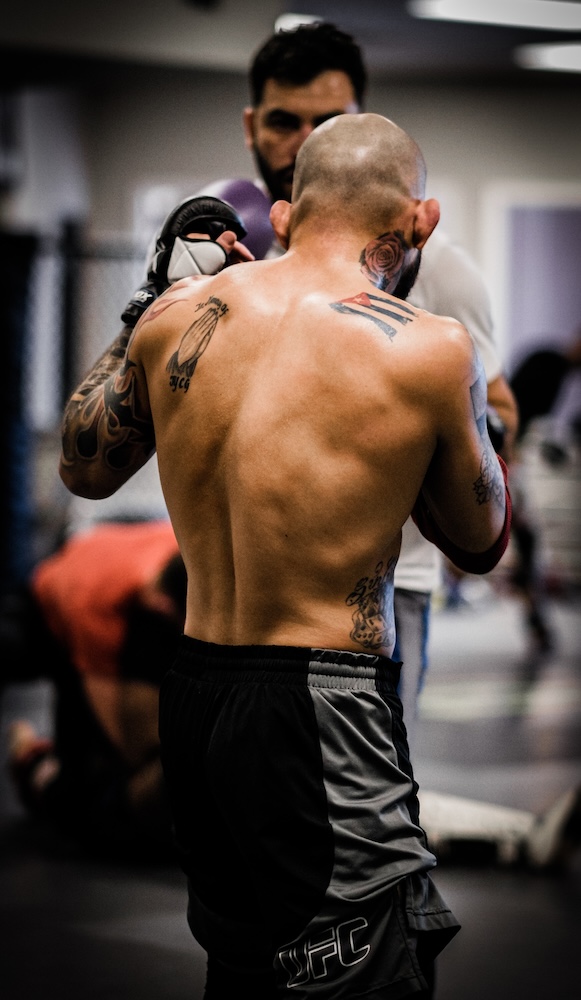 About MMA Hive