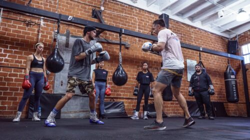 Types Of MMA: Fighting Styles Deep Dive - MMA Hive