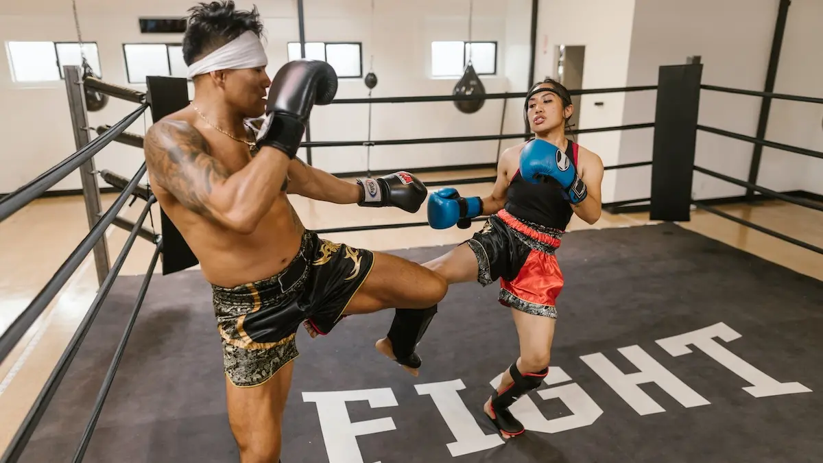 Types Of MMA: Fighting Styles Deep Dive - MMA Hive